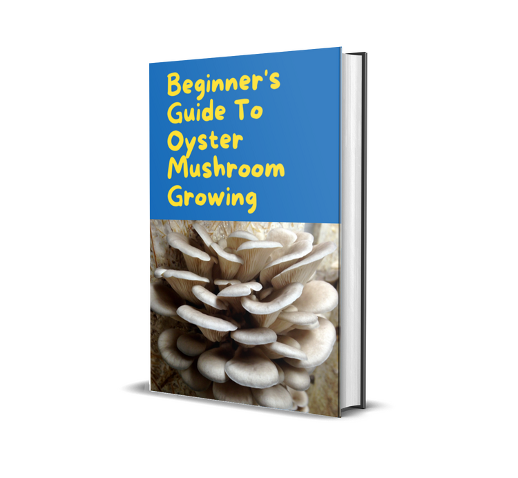 Oyster mushroom growing at home - MUSHROOM CLASSES